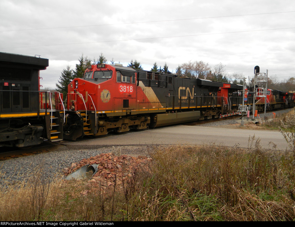 CN 3818